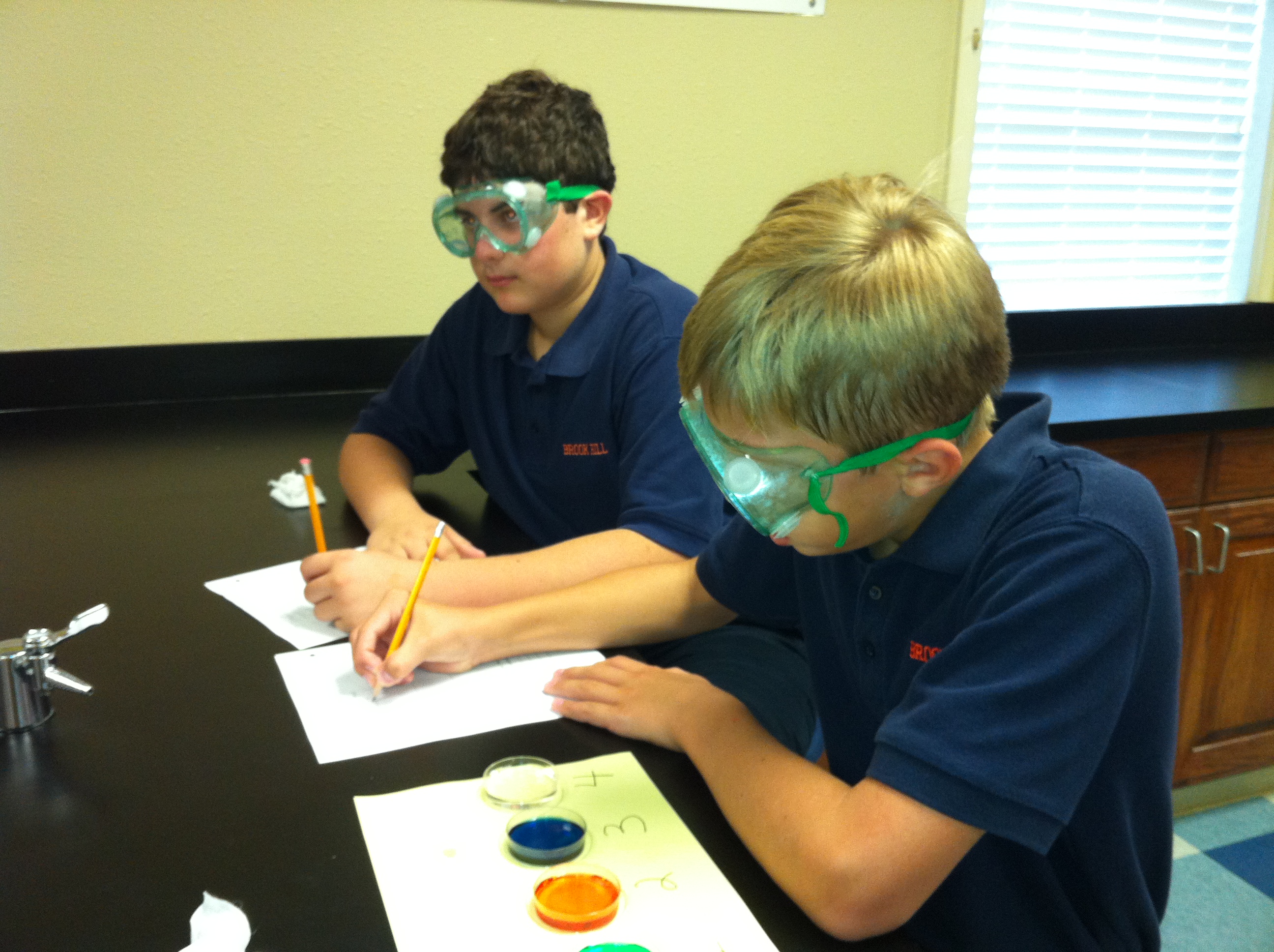 6th Grade Inferring Lab - The Brook Hill School