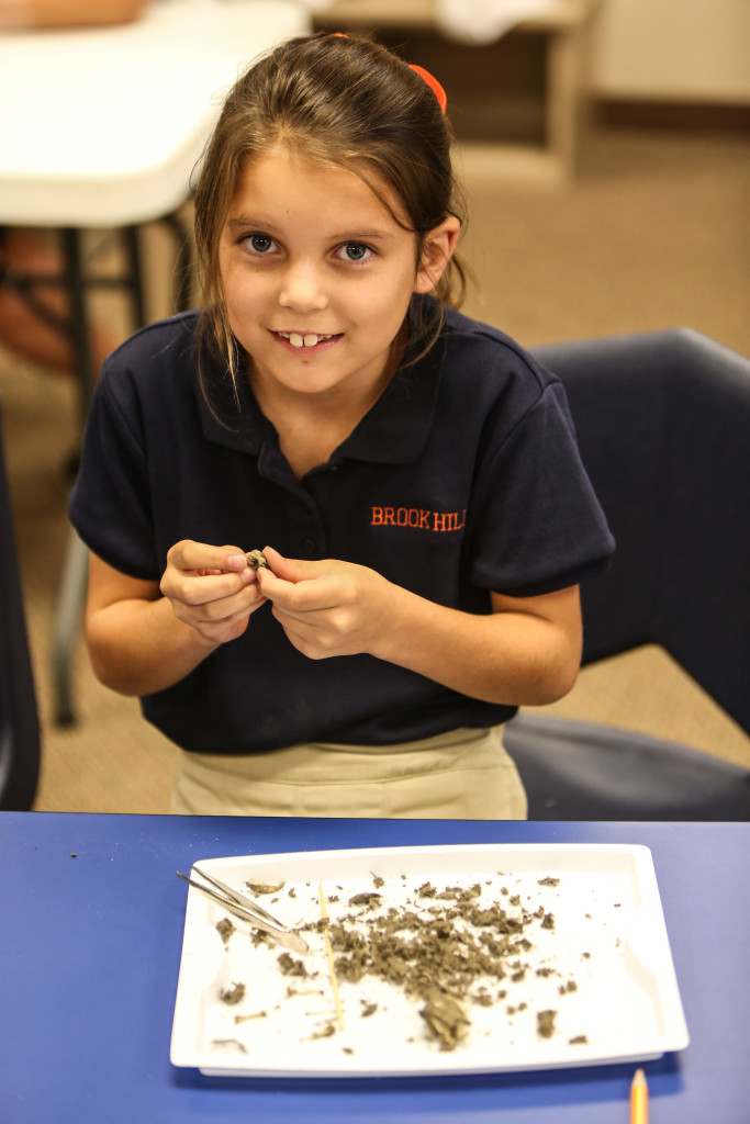 Skull Lab - The Brook Hill School