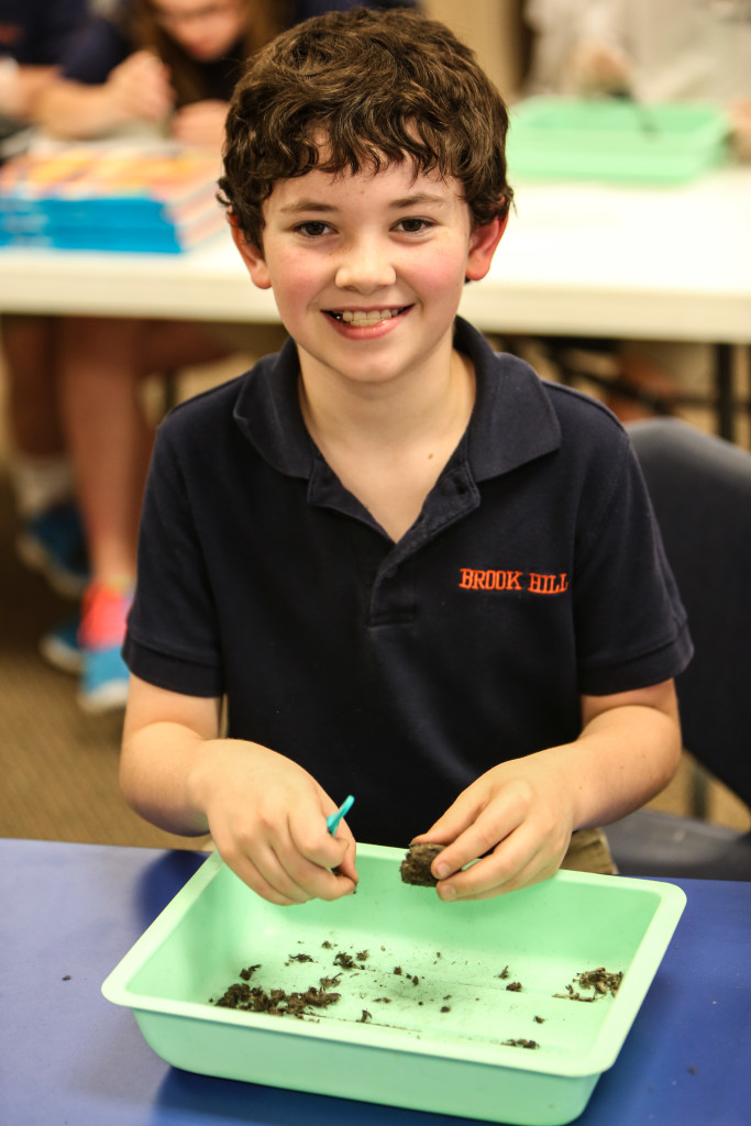 Skull Lab - The Brook Hill School