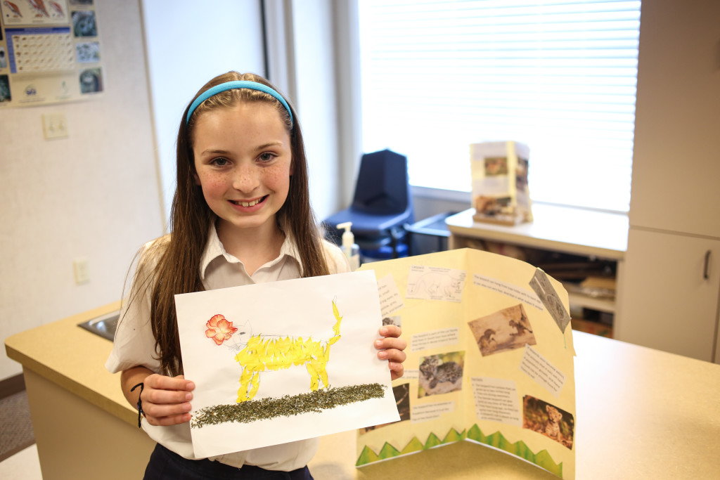 4th Grade Animal Projects - The Brook Hill School