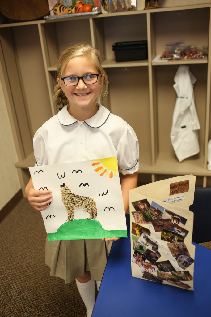 4th Grade Animal Projects - The Brook Hill School