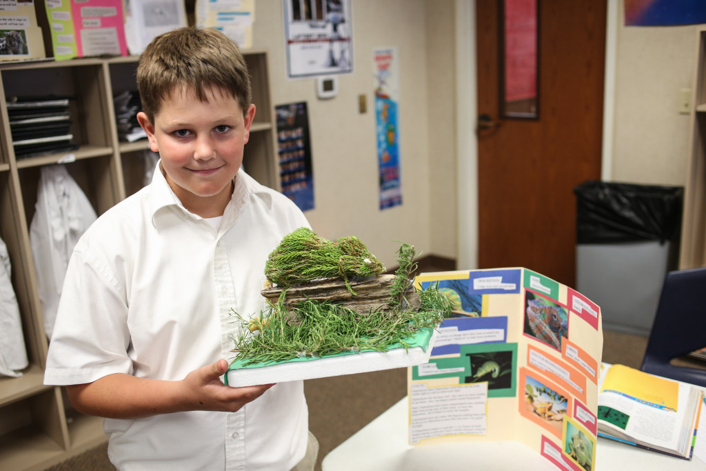4th Grade Animal Projects - The Brook Hill School