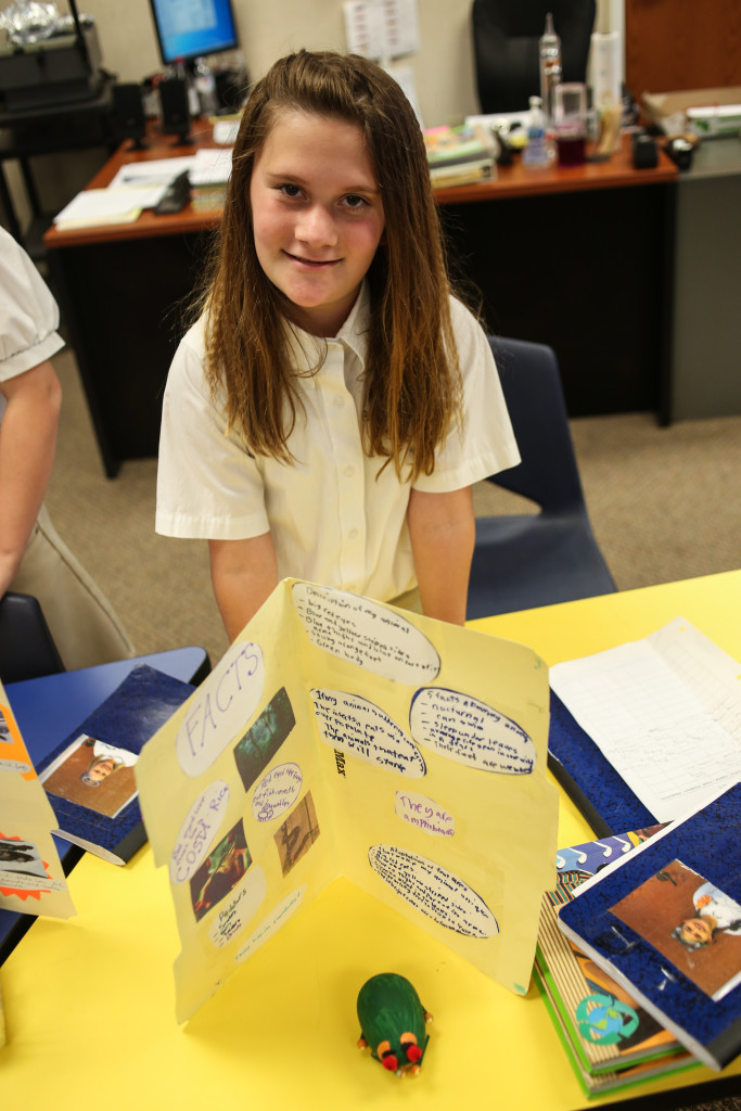 4th Grade Animal Projects - The Brook Hill School