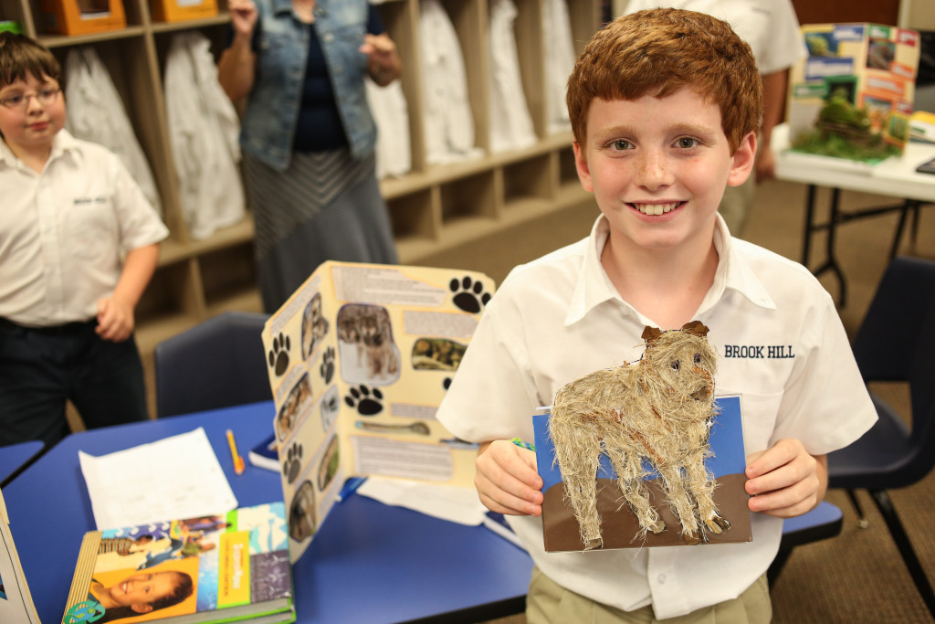 4th Grade Animal Projects - The Brook Hill School