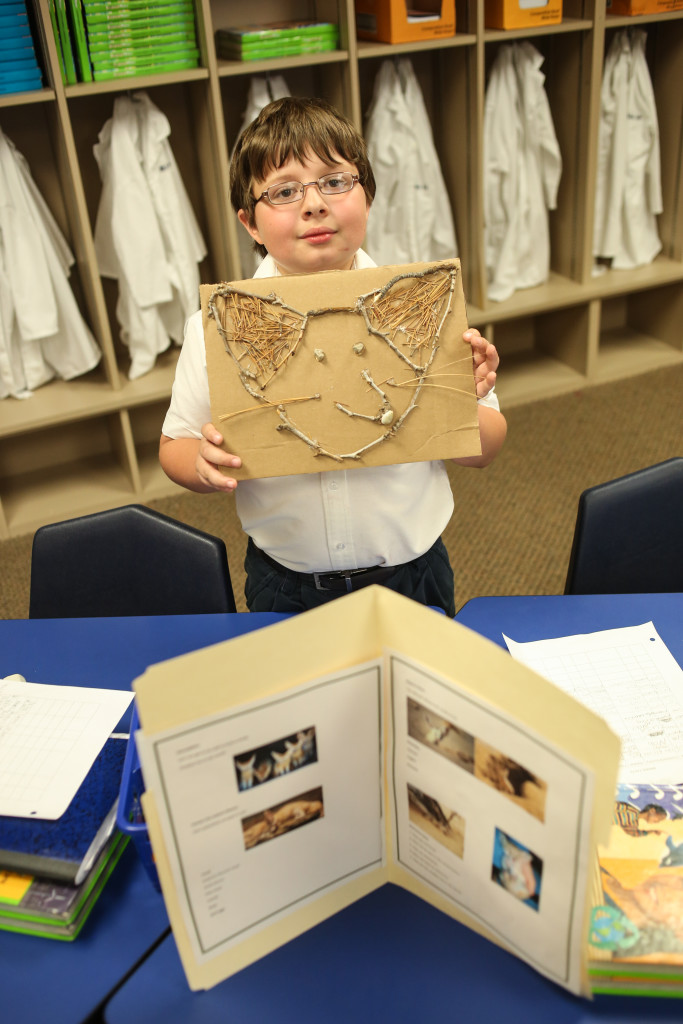 4th Grade Animal Projects - The Brook Hill School