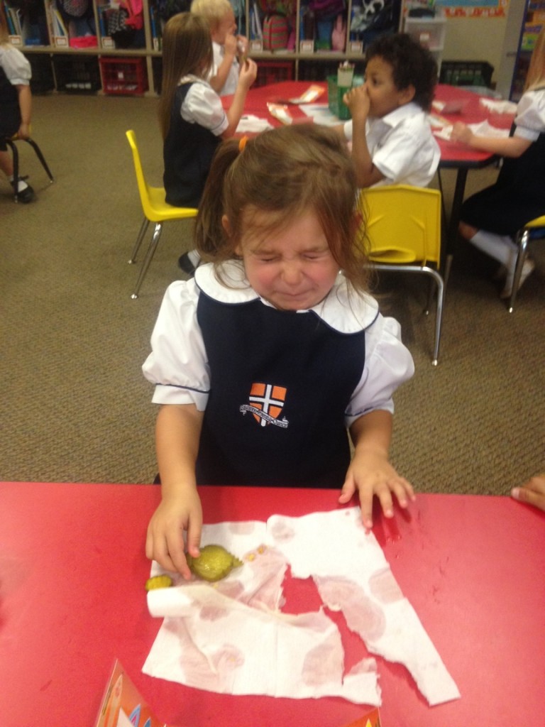 Kindergarten Students Explore Five Senses with Pickles! - The Brook ...