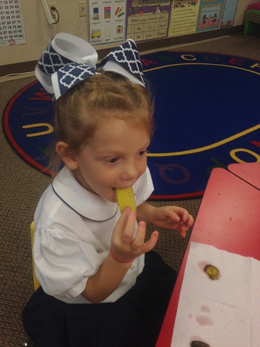 Kindergarten Students Explore Five Senses with Pickles! - The Brook ...