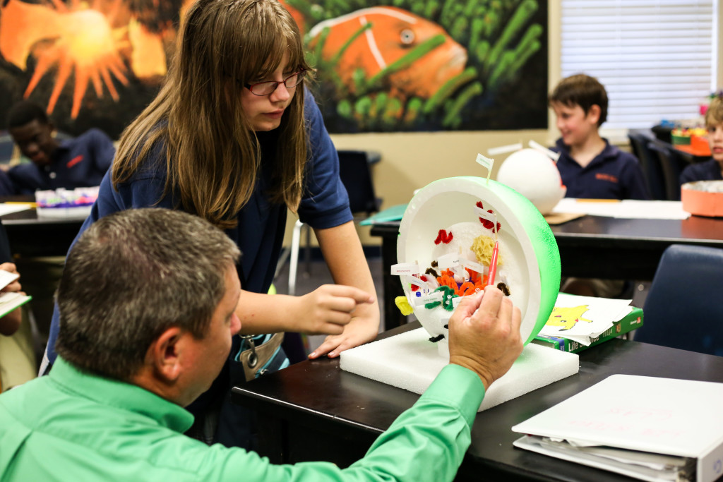 7th Grade Cell Project - The Brook Hill School
