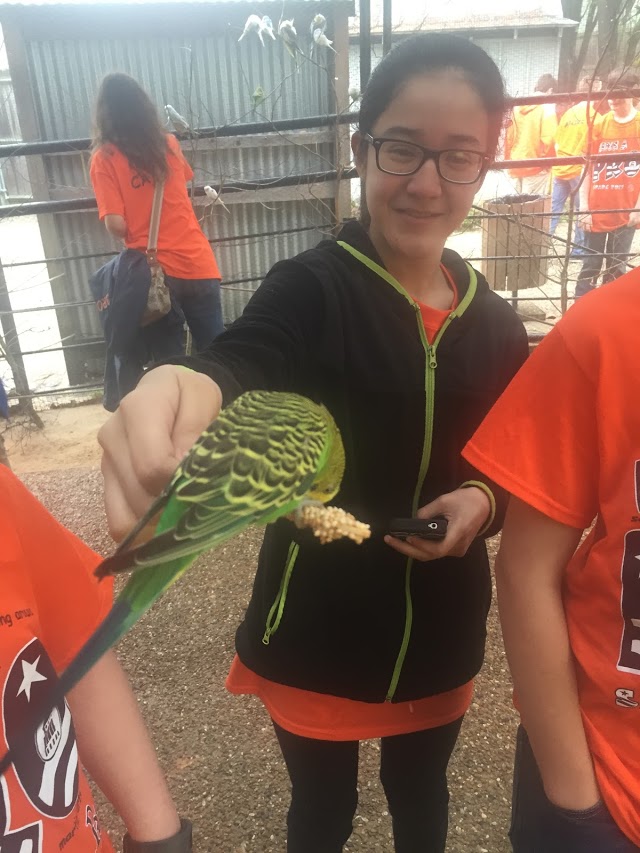 Like a Pro - The Brook Hill School