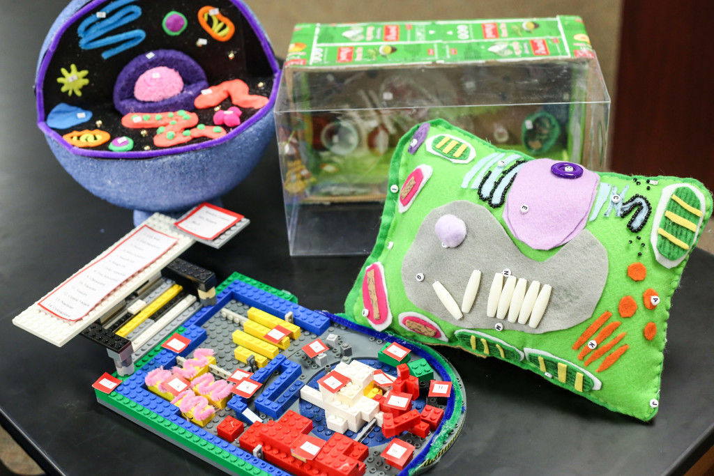 Biology Cell Project - The Brook Hill School