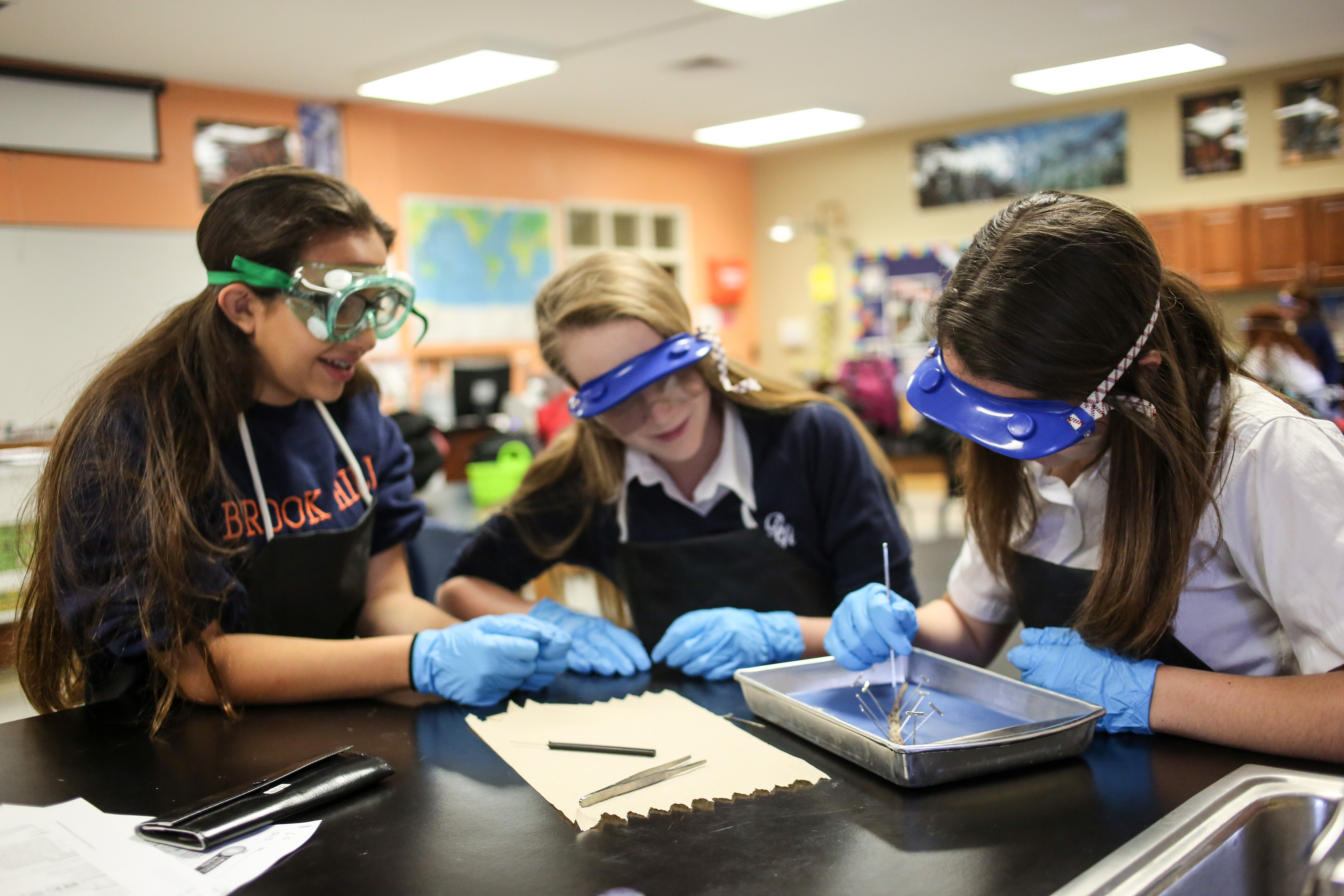 7th Grade Dissections - The Brook Hill School