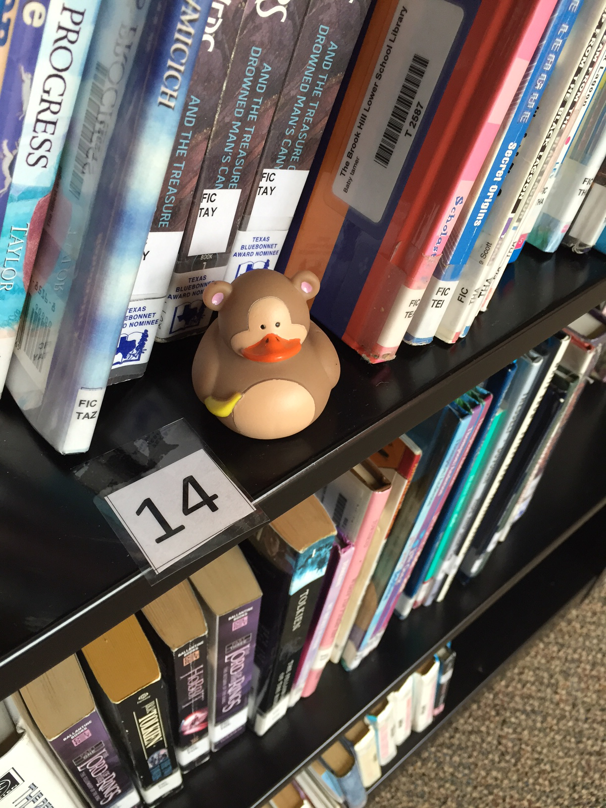 Annual Library Duck Hunt - The Brook Hill School