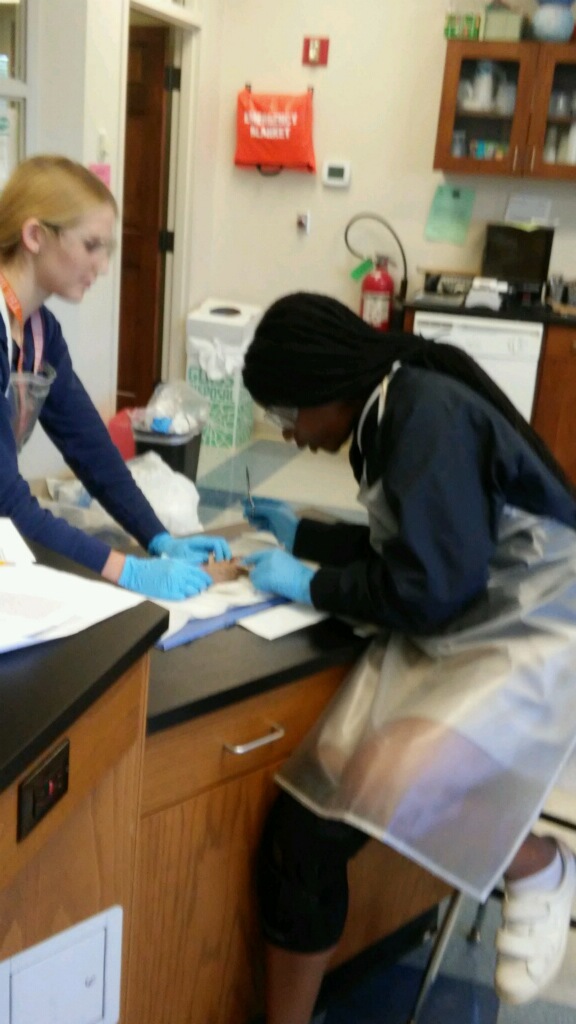 Biology dissections progress learning and conversation - The Brook Hill ...